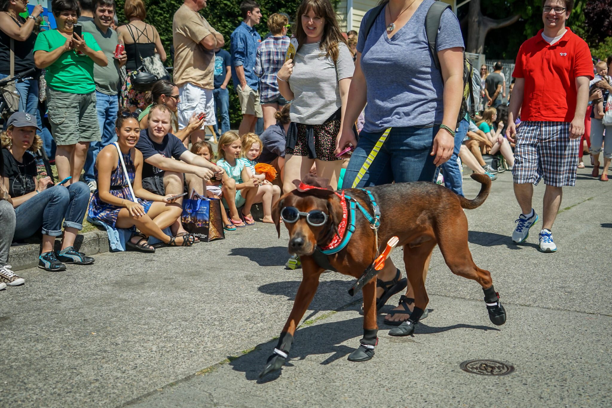 FAQ - Fremont Fair